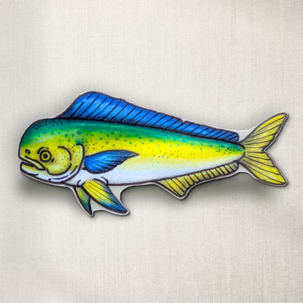 Mahi-Mahi – Pinnows