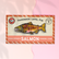 Chum Salmon – Pinnows