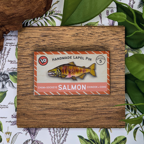 Chum Salmon – Pinnows