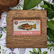 Chum Salmon – Pinnows
