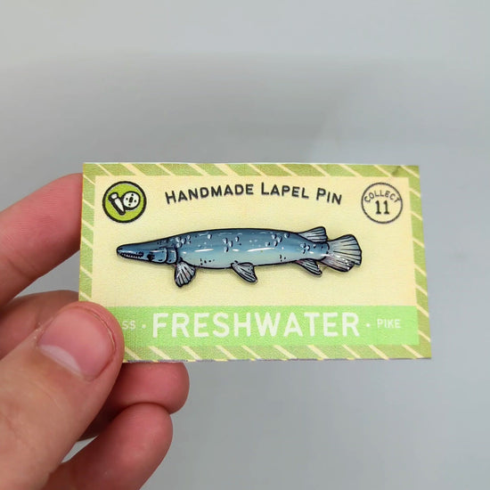 Alligator Gar – Pinnows